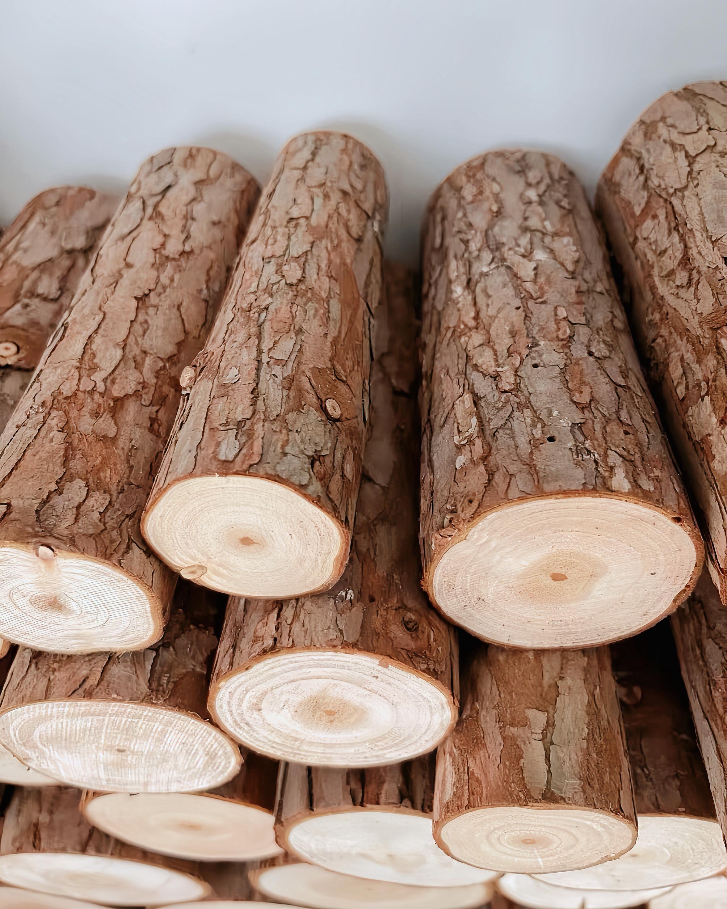 Large Rustic Wooden Tree Log Decor, Natural Wood Fireplace Ornament, 5. ...