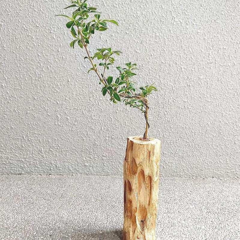 Log Vase - Etsy