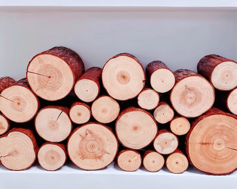 Large Rustic Wooden Tree Log Decor, Natural Wood Fireplace Ornament, 5.5-5.9in Diameter, 11.8in ...