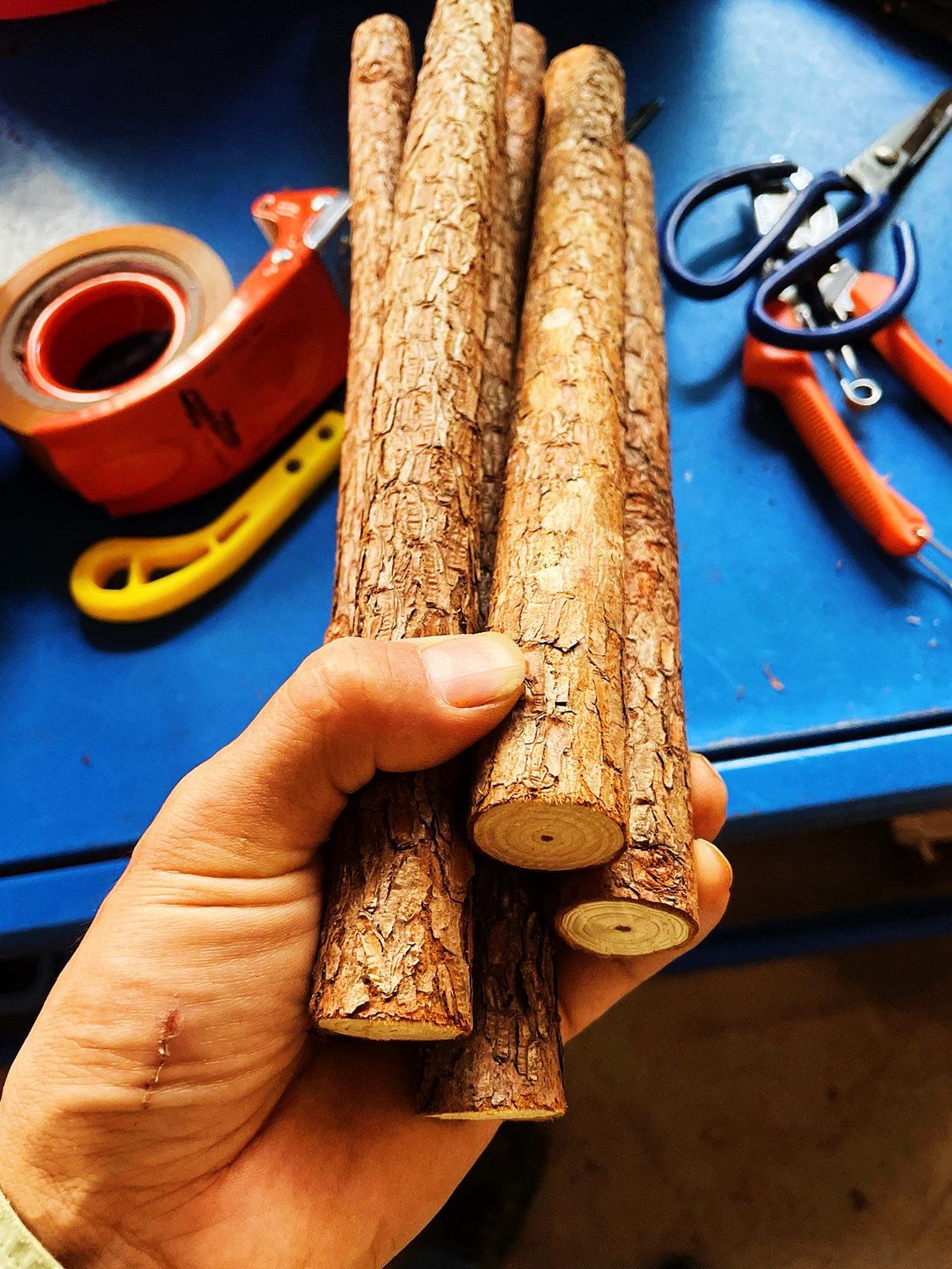 Rustic Wood Log Decor – Natural Solid Cedar Stick for Fireplace Styling ...