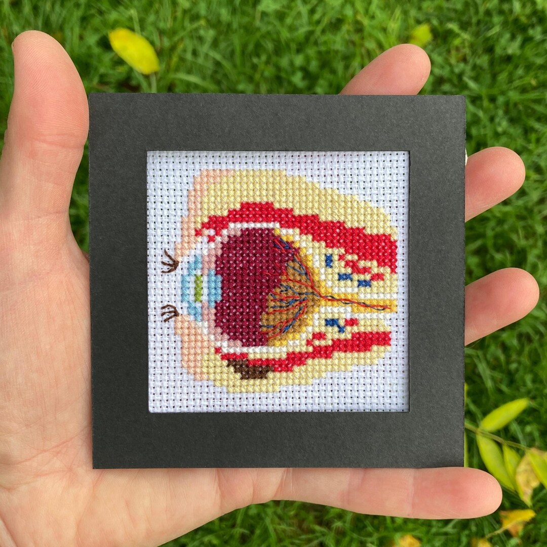 Anatomical Eye and Socket Tiny Cross Stitch Pattern: Human Anatomy ...