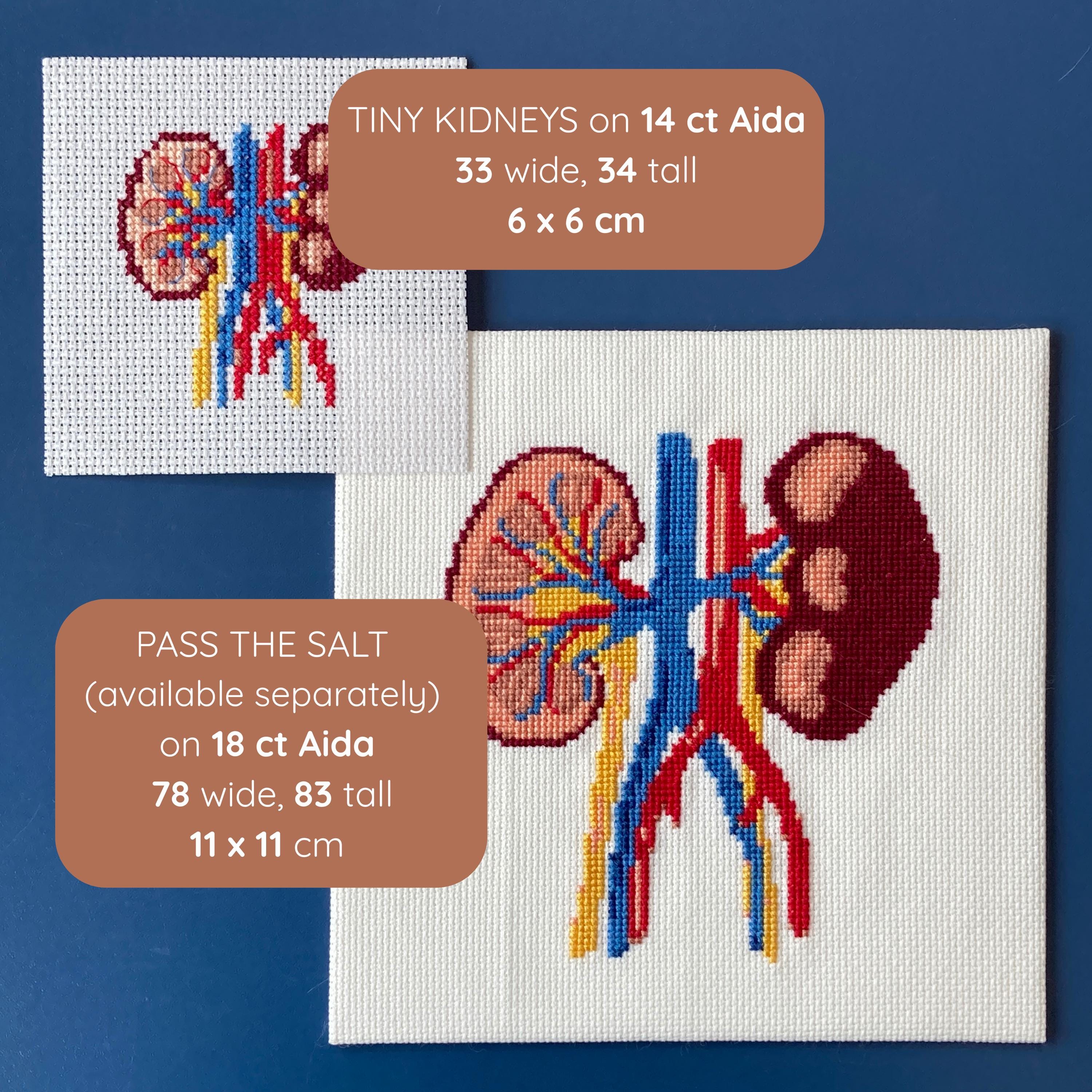 Anatomical Kidneys Tiny Cross Stitch Pattern: Human Anatomy Embroidery ...