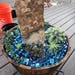 Water Basin Kit. - Etsy