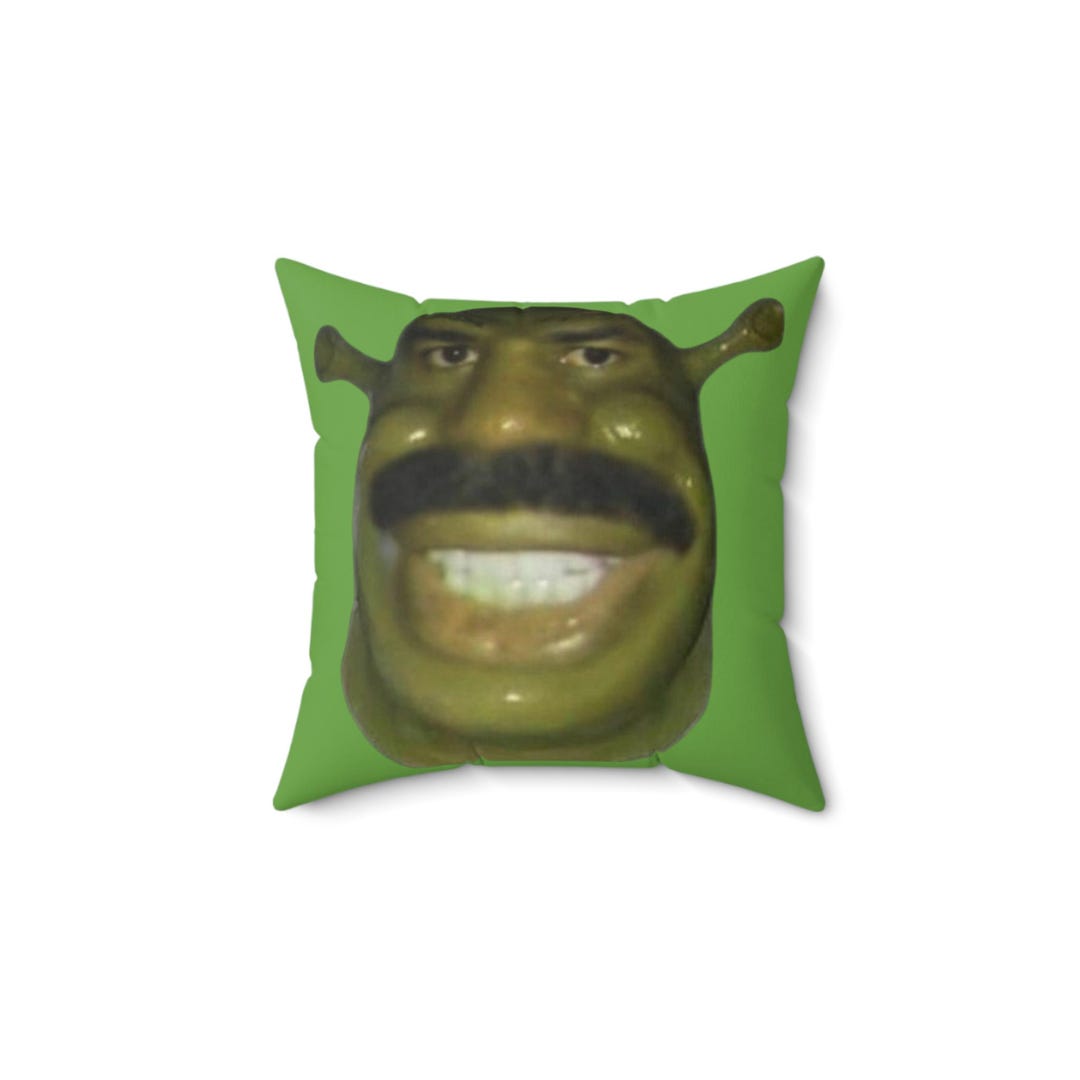Humorous Steve Harvey Meme Pillow - Etsy