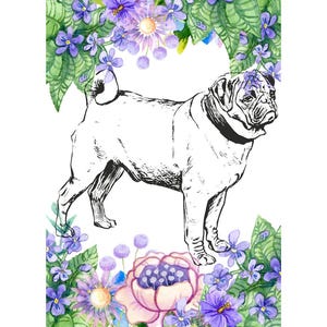 Blood Hound Cartoon Cute Dog Portrait, Pet Cartoon, Cartoon Pet ...