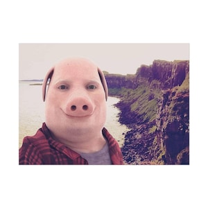 John Pork Rolled Poster | Meme - Etsy