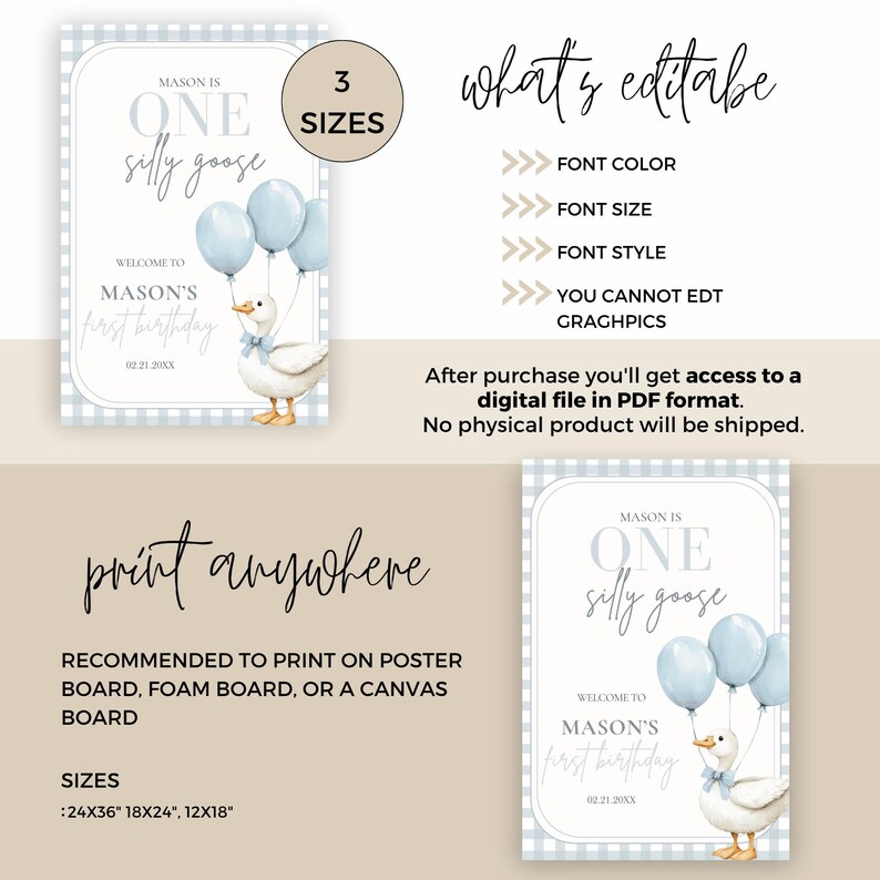 One Silly Goose Welcome Sign Boy, Silly Goose 1st Birthday Sign, Boy ...