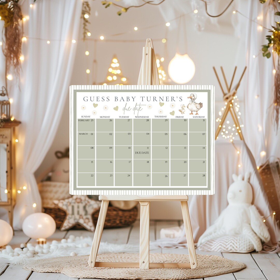 Sage Green Baby Shower Due Date Sign, Silly Goose Baby Shower Favors ...