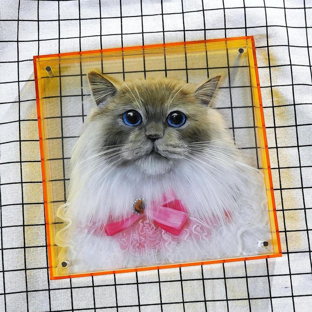 Hand Painted 3D Layered Glass Pet Memorial Frame, Custom Cat Portrait ...