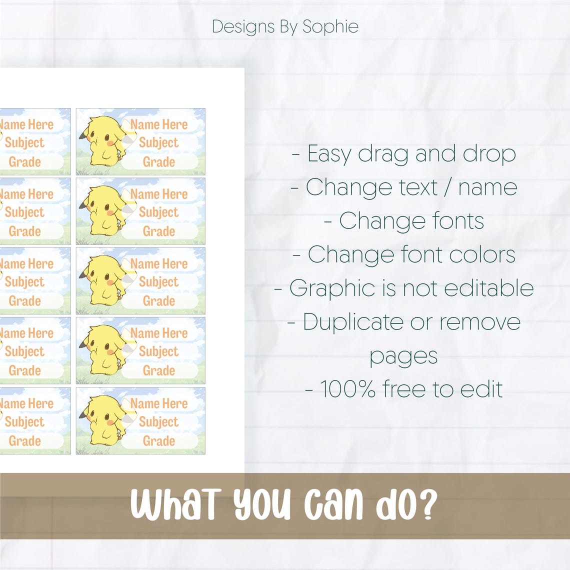 Editable School Labels-name Labels for School-school Labels-back to ...