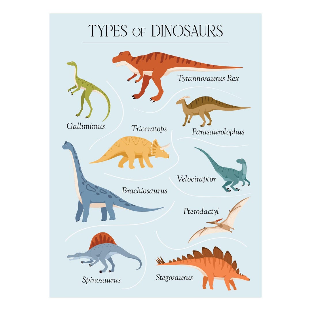 Types of Dinosaurs - Baby Kids Poster - Digital Download - Three ...
