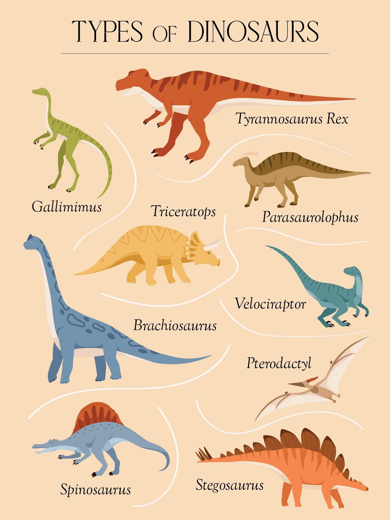 Types Of Dinosaurs Poster
