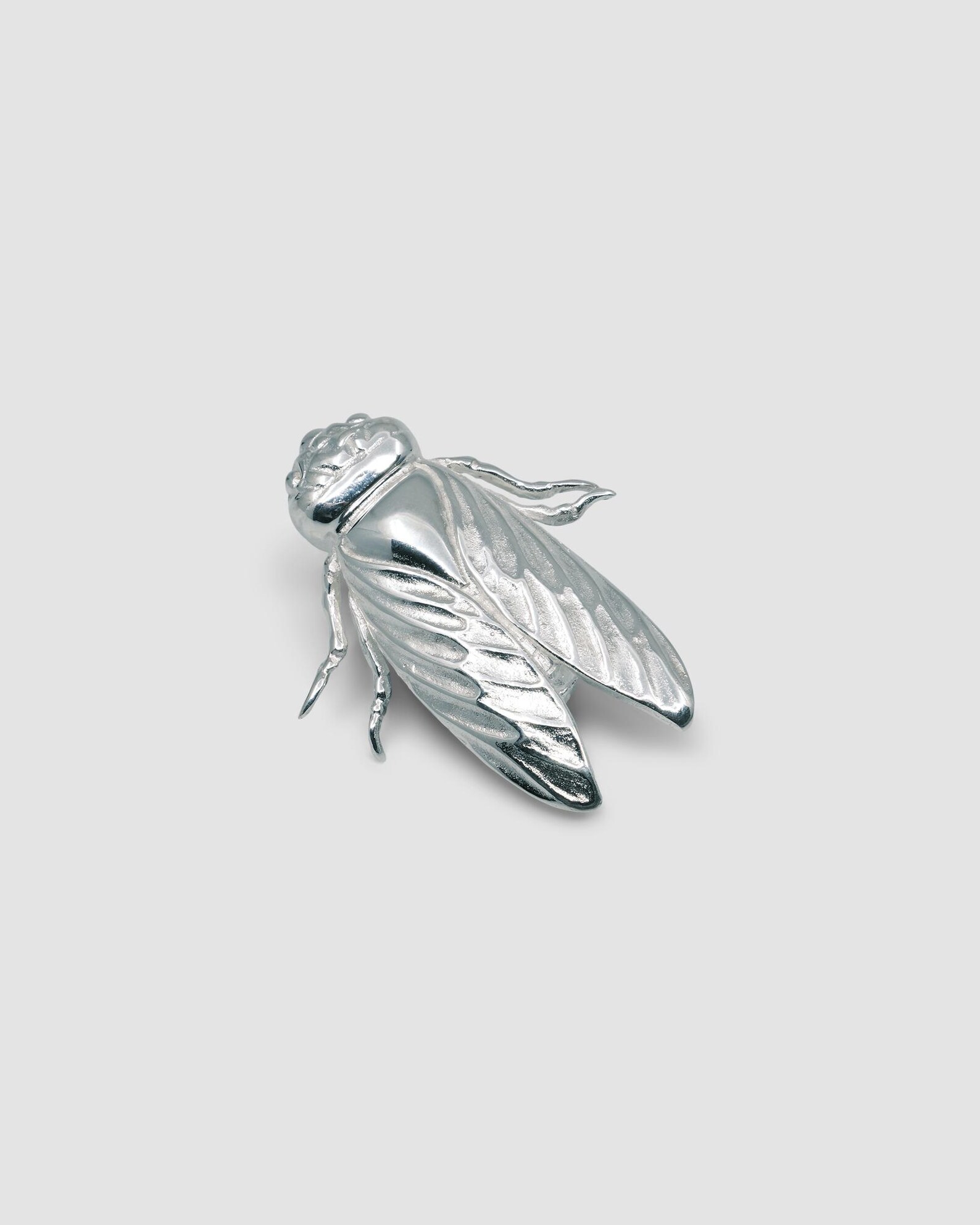 Cicada Brooch | Silver - Etsy
