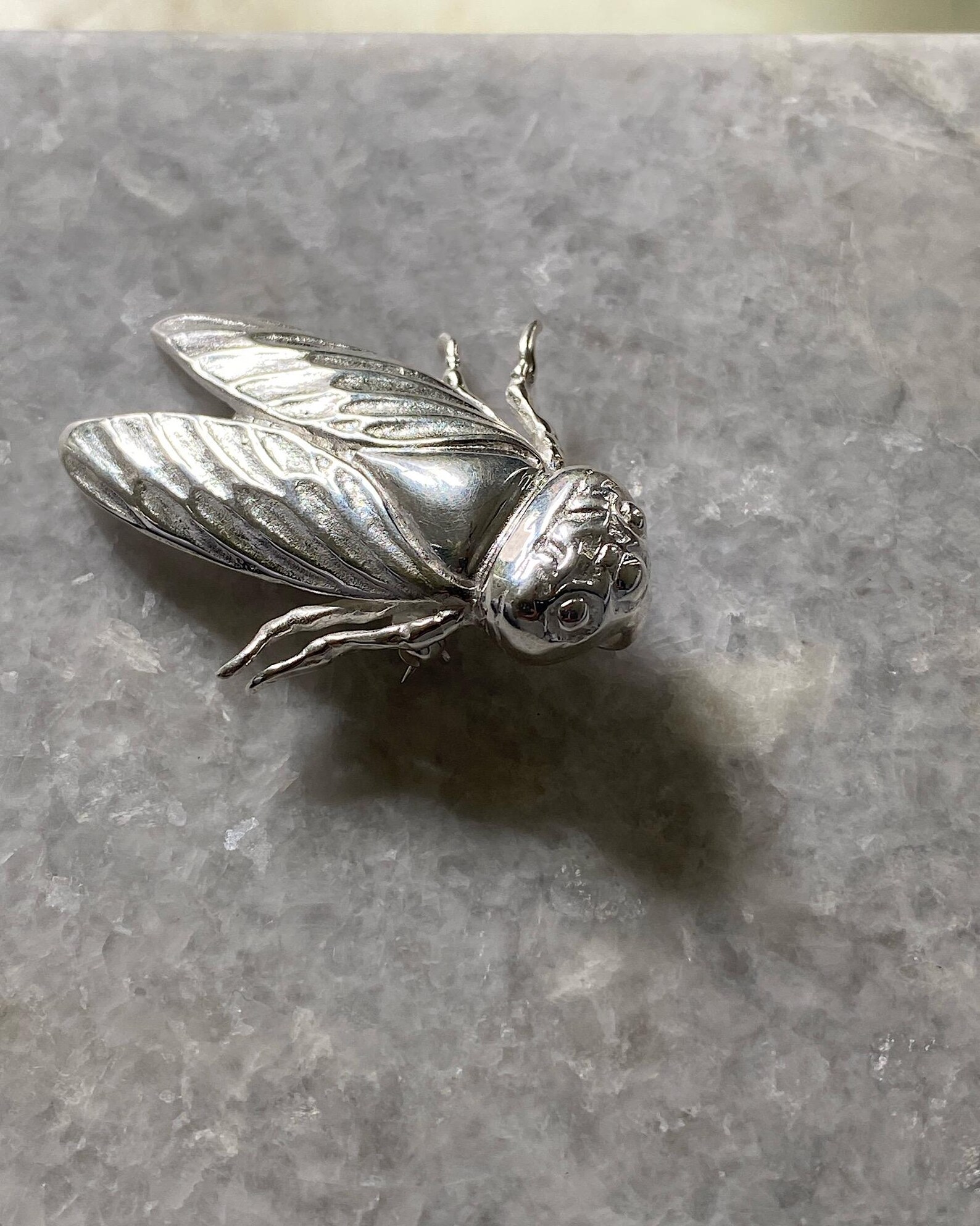 Cicada Brooch | Silver - Etsy