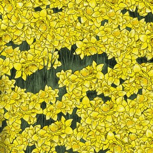 Original "daffodils in Bloom" Art Print Big Fish Tim Burton - Etsy