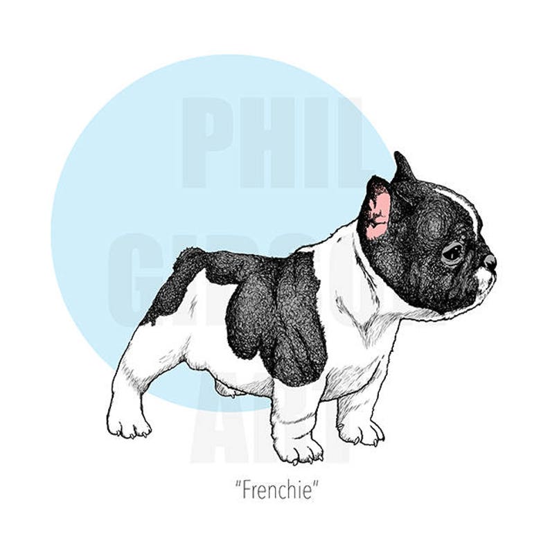 Original "frenchie" Puppy Art Print Poster French Bulldog - Etsy