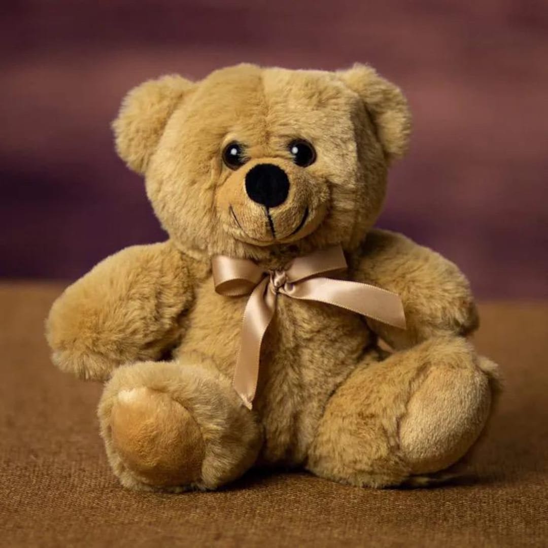 Musical Teddy Bear That Plays a Custom Song We Create for You Great ...