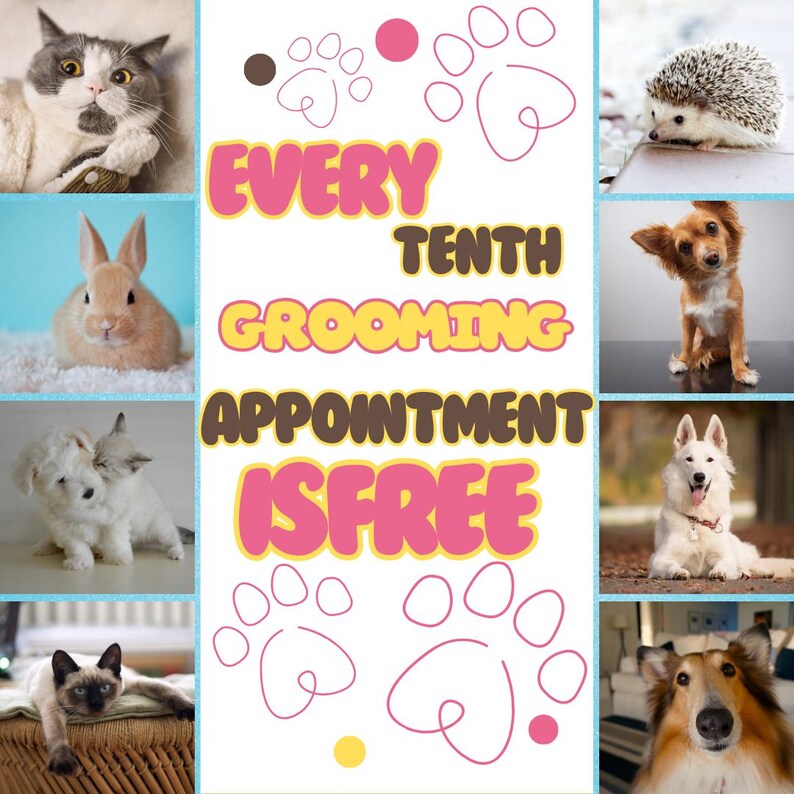 Pet Grooming Instagram Post Templates. Pet Business Social Media ...