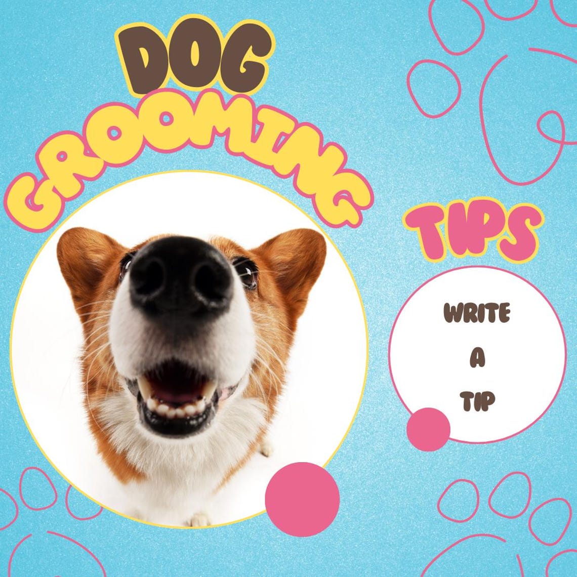 Pet Grooming Instagram Post Templates. Pet Business Social Media ...