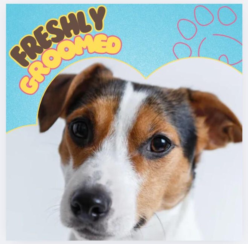 Pet Grooming Instagram Post Templates. Pet Business Social Media ...