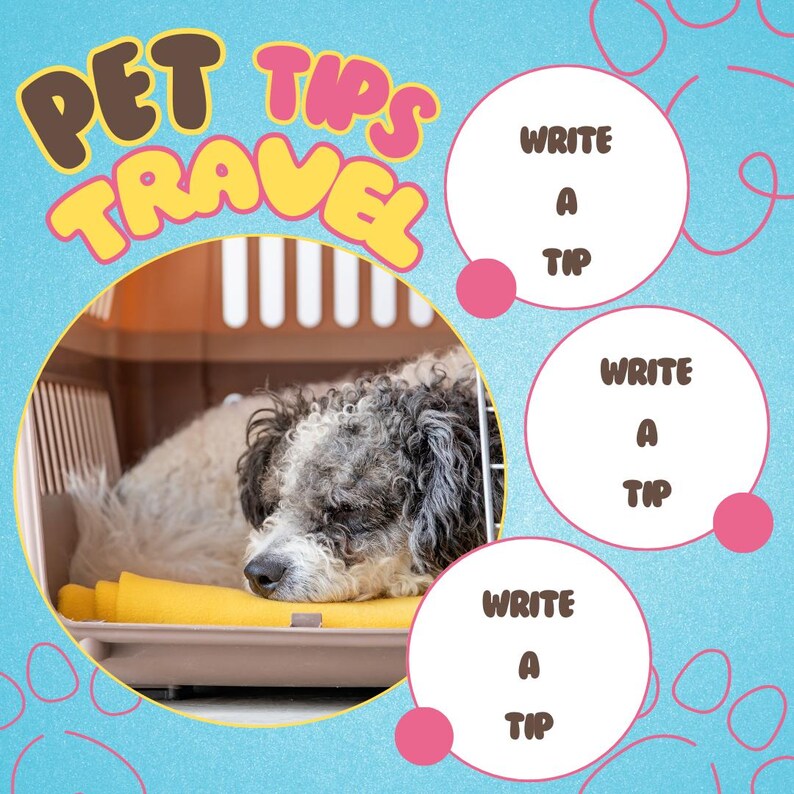 Pet Grooming Instagram Post Templates. Pet Business Social Media ...
