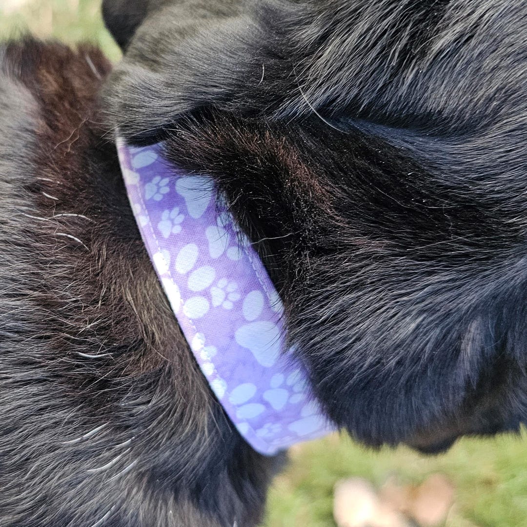 Purple Pawprint Dog Collar, 1" Wide Durable Strap, Metal Buckle, Small ...