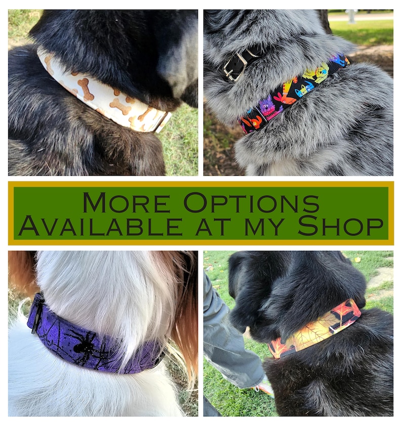 Royal Purple Dog Collar, 1" Wide Durable Strap, Metal Buckle, Small ...