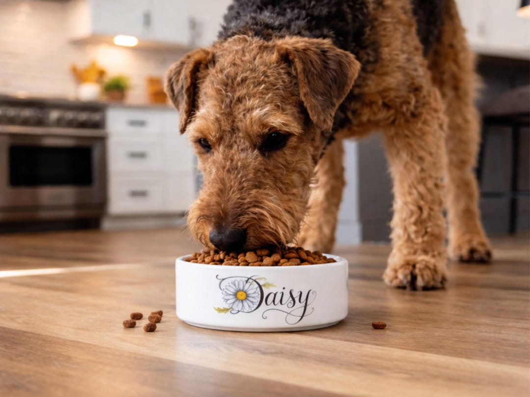 Personalized Daisy Food or Water Bowl 16 Oz Ceramic Dish - Etsy