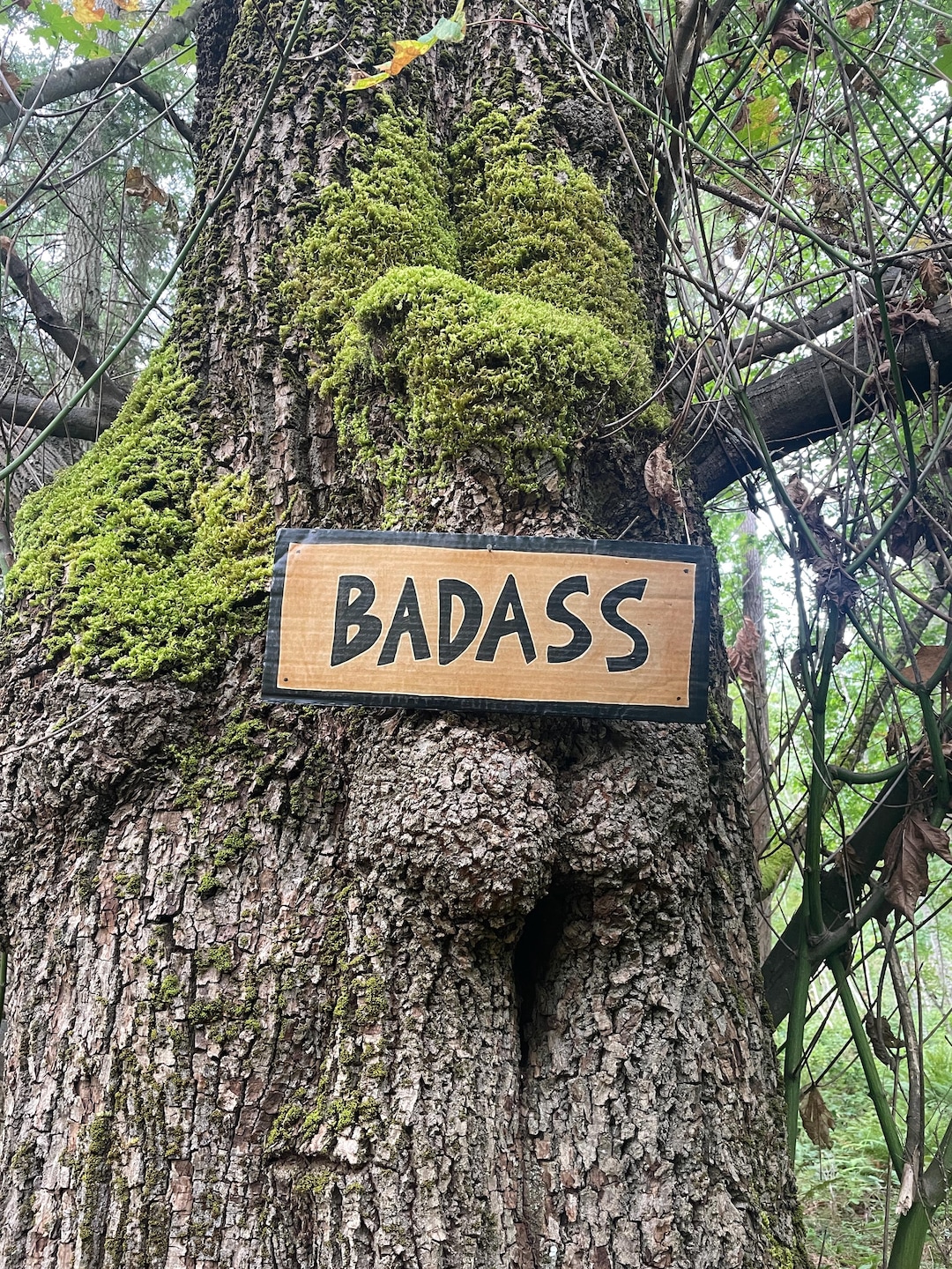Photograph of "badass" Sign, on an Ass Shaped Tree Anomaly, PNW - Etsy
