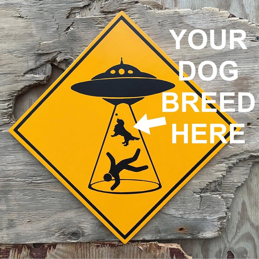 Personalized Funny Dog Sign | Alien Abduction of Dog and Owner | UFO ...
