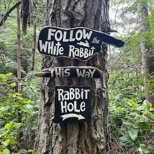 Follow the White Rabbit Sign Set | Alice in Wonderland Gift | Whimsical ...