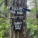 Follow the White Rabbit Sign Set | Alice in Wonderland Gift | Whimsical ...