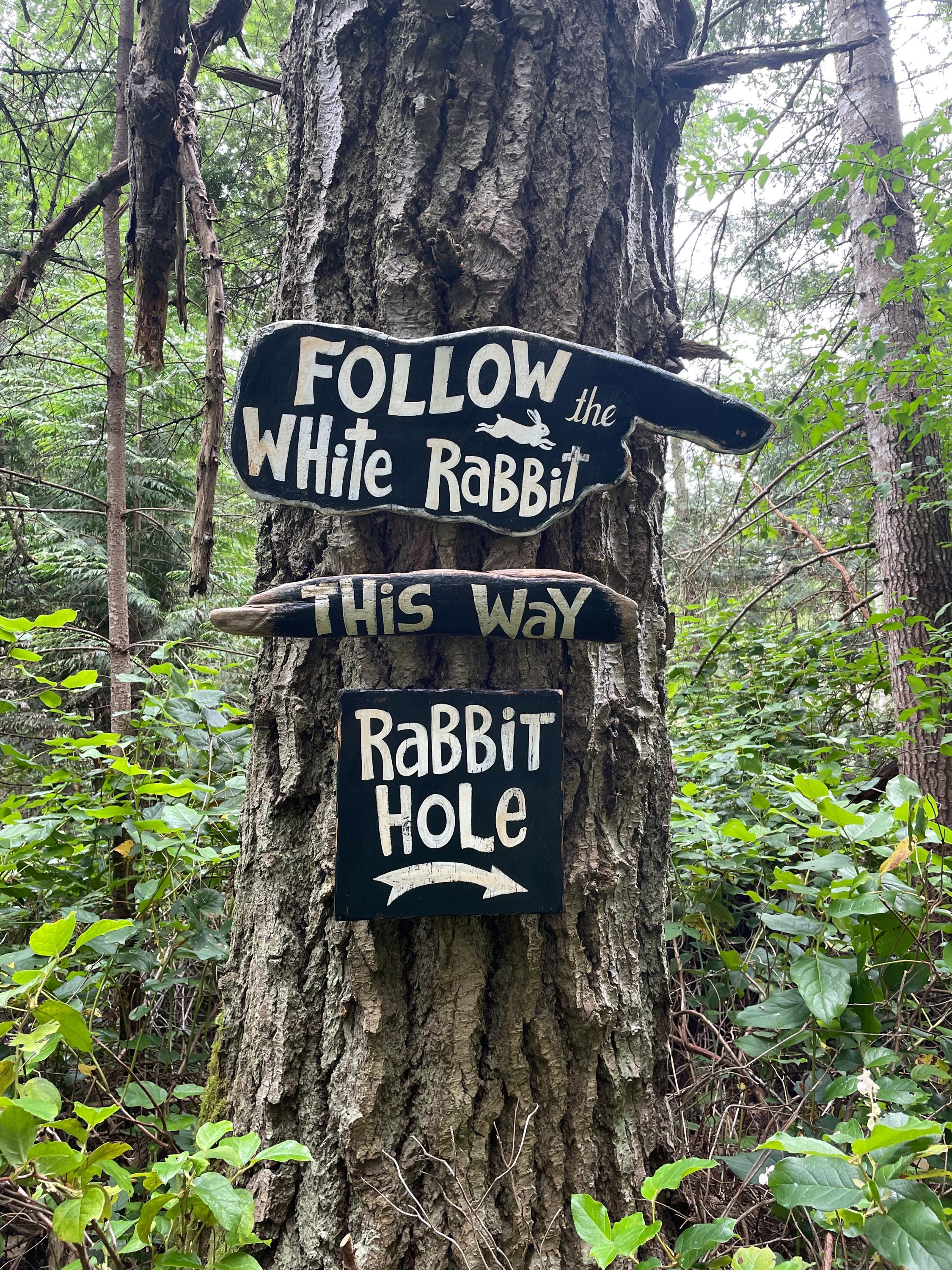 Follow the White Rabbit Sign Set | Alice in Wonderland Gift | Whimsical ...