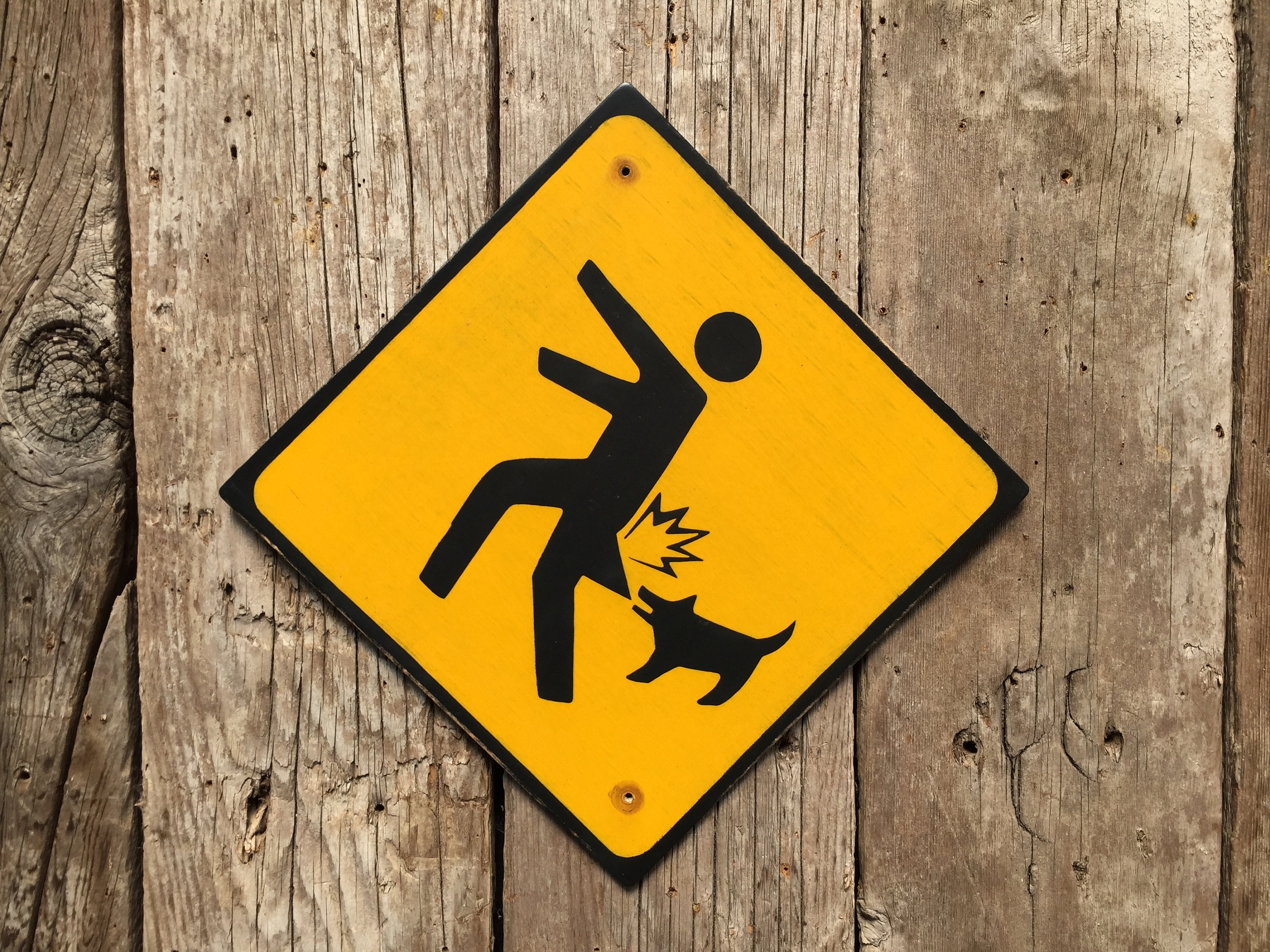 Weird Japanese Beware of Small Dog Sign | Handmade Screen Weird Japanese Beware of Small Dog Sign | Handmade Screen