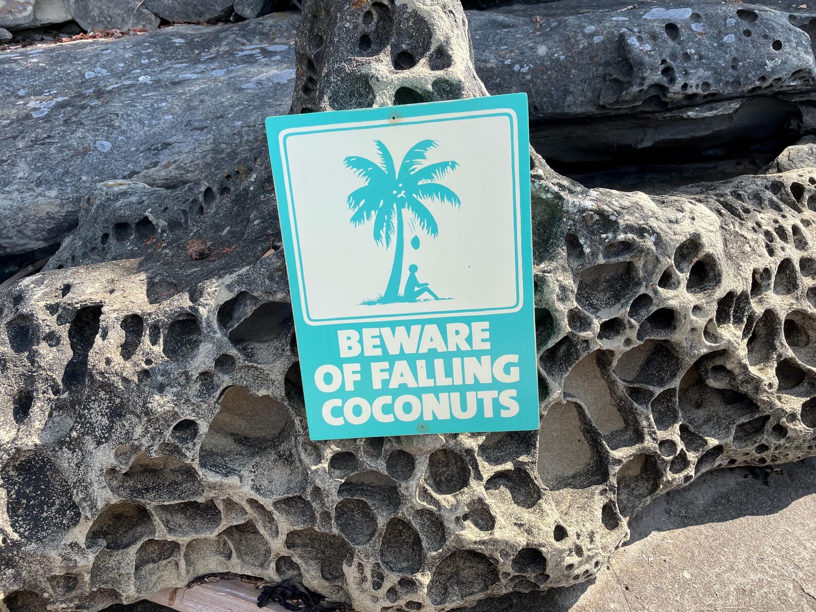 Falling Coconuts Sign | Handmade Screen Printed Sign | Beach Sign ...