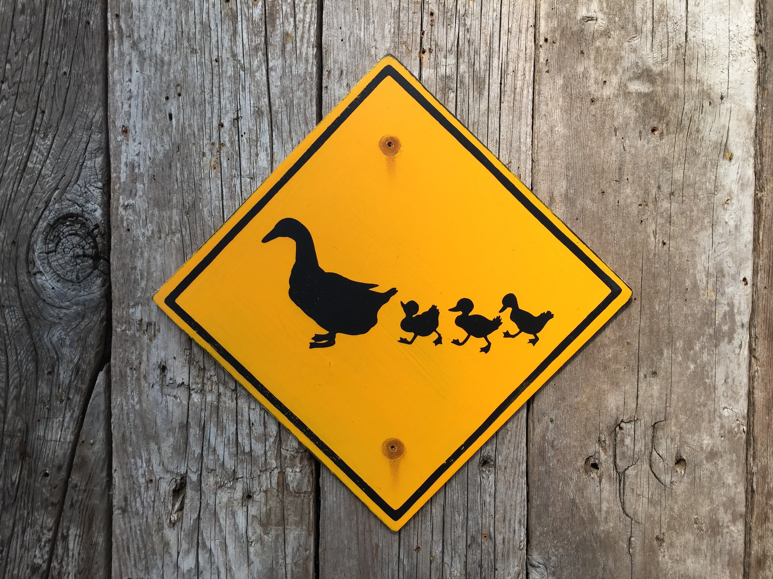 Duck Crossing Road Sign
