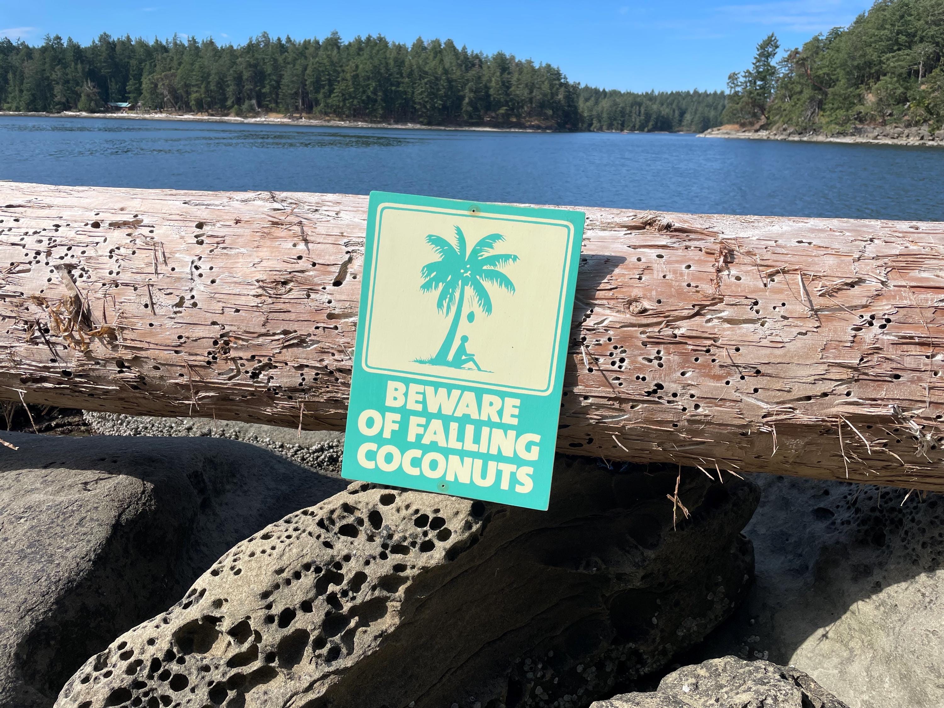 Falling Coconuts Sign | Handmade Screen Printed Sign | Beach Sign ...