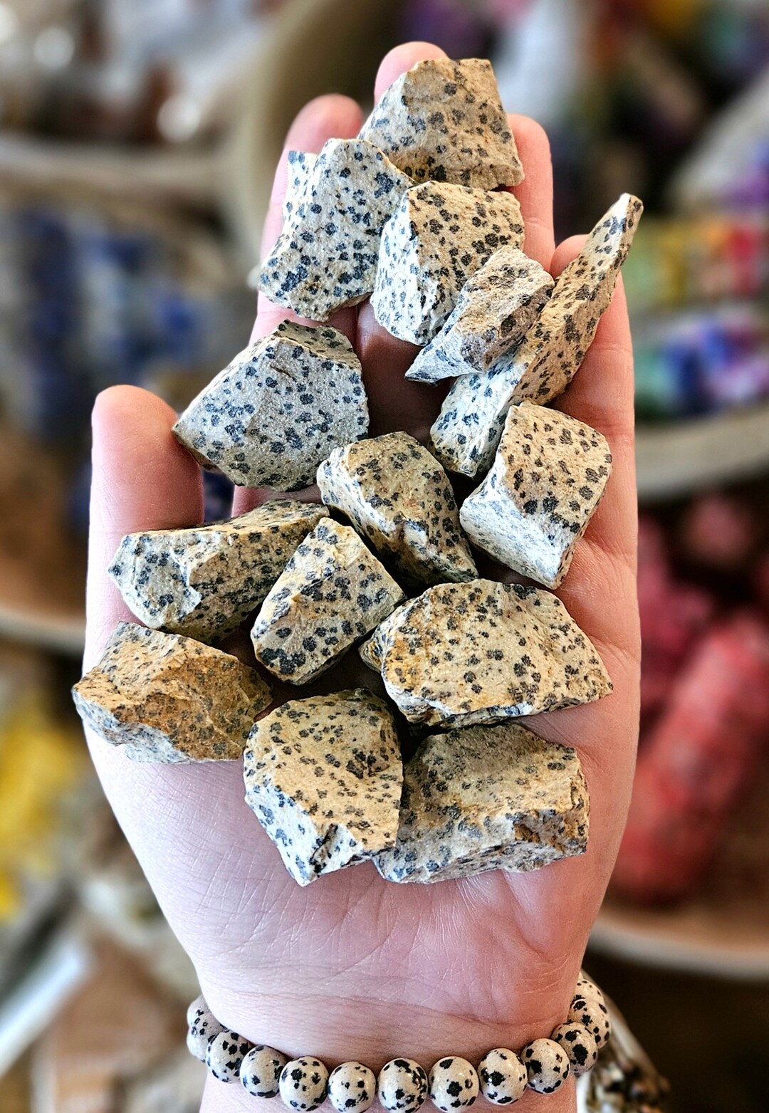 Dalmatian Jasper Rough Stone, One, Natural Rock Hound, Crystal Healing ...