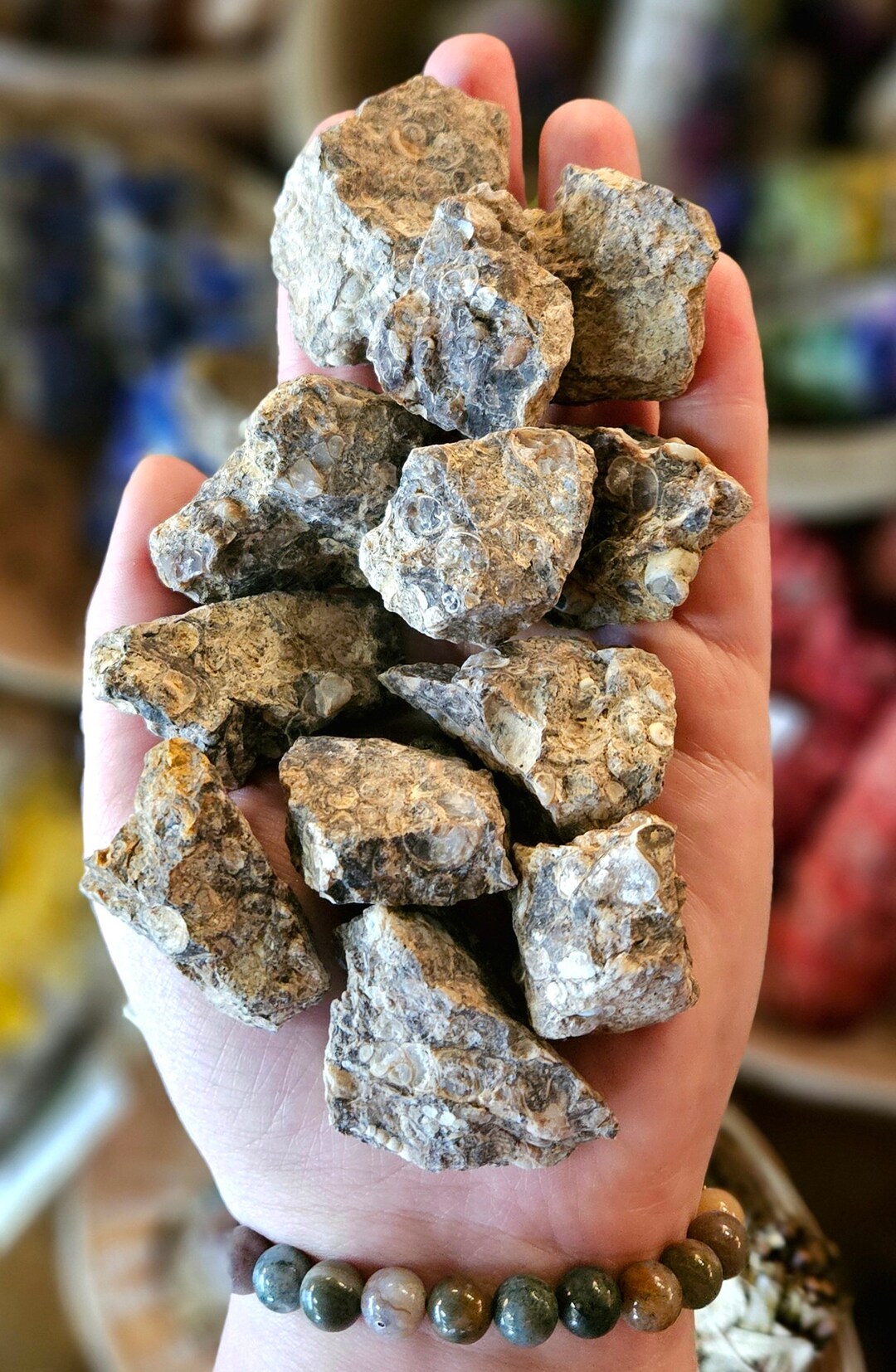 Turritella Agate Rough Stone, One, Feng Shui, Pocket Stone ...