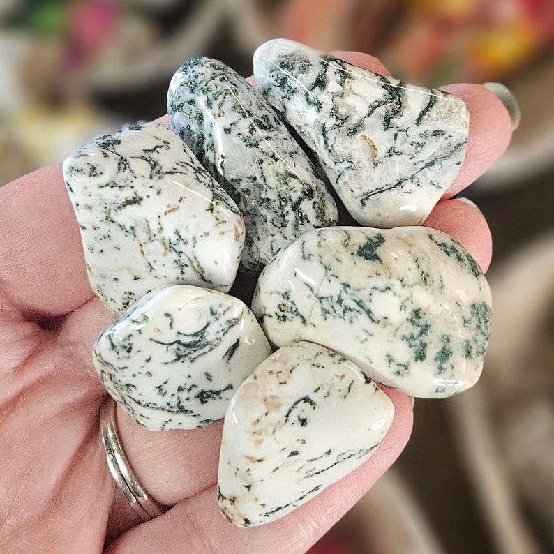 Tree Agate Tumbled Stone, One, Rock Hound, Crystal Healing, Stones ...