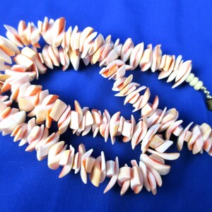 Beachy Shell Choker Shrimp & Cream Polished Sea Shell Shards 1 - Etsy