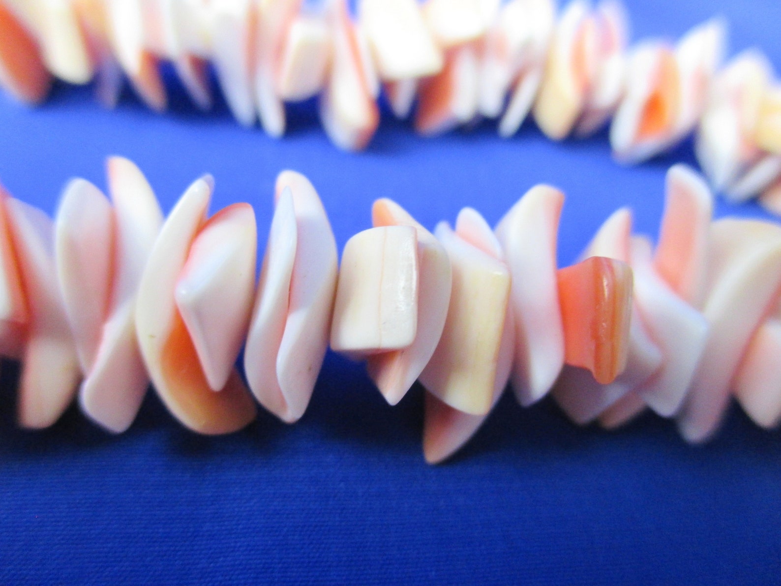 Beachy Shell Choker Shrimp & Cream Polished Sea Shell Shards 1 - Etsy