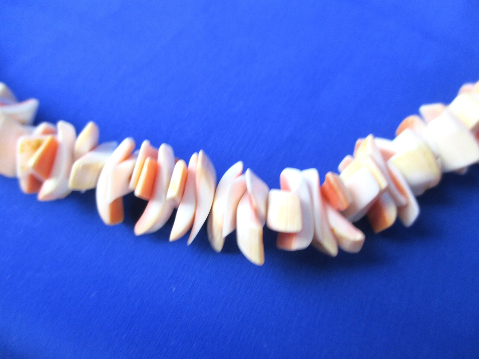 Beachy Shell Choker Shrimp & Cream Polished Sea Shell Shards 1 - Etsy
