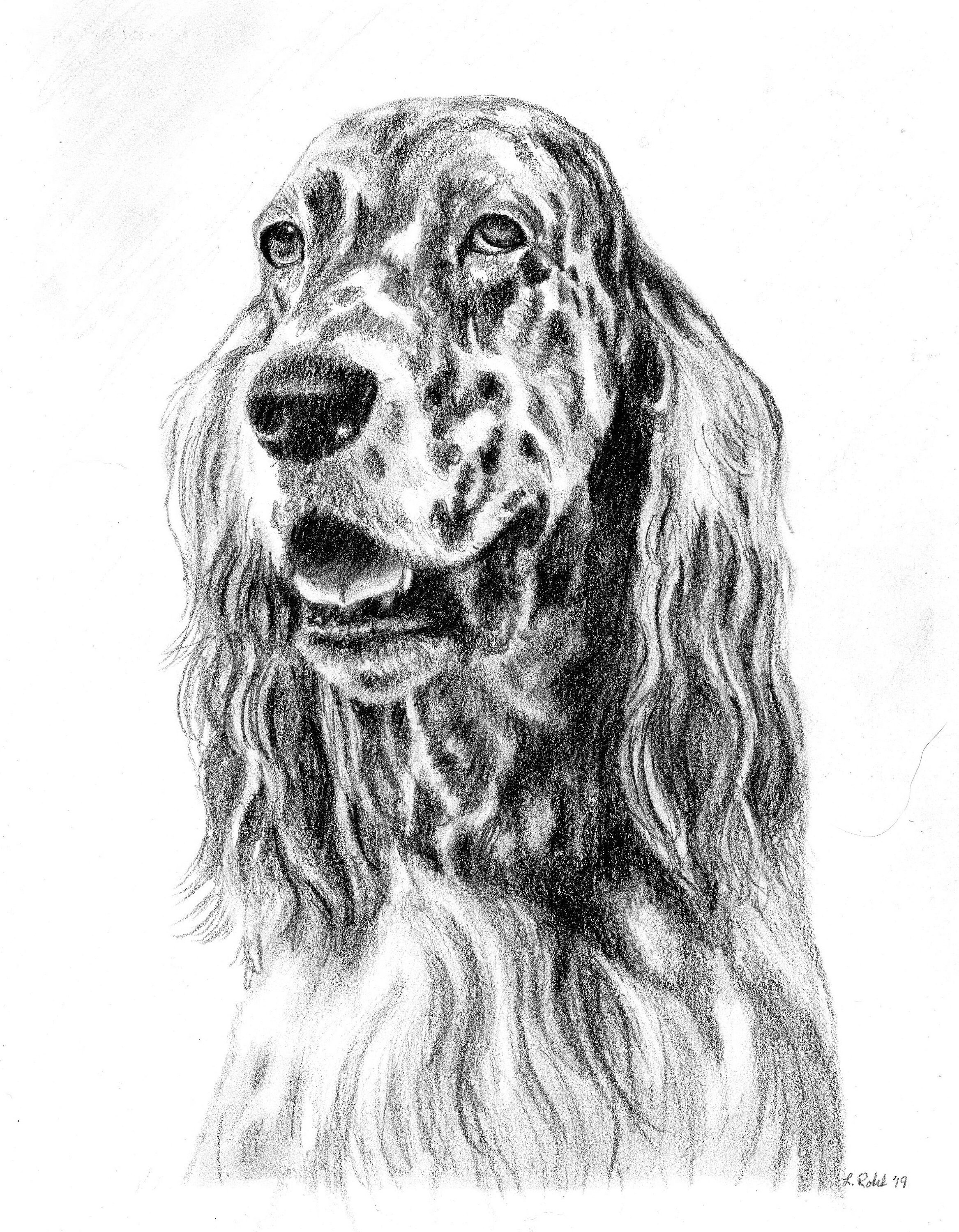 Custom Graphite Pencil Pet Portrait 8 X 10 | Etsy