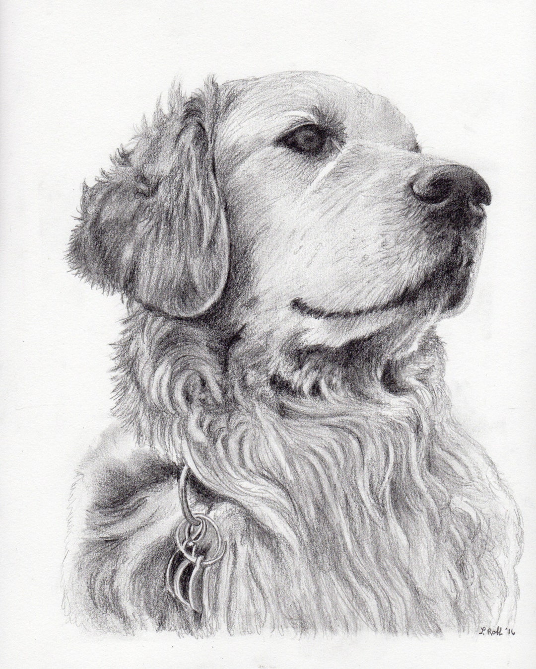 Custom Dog Pet Portrait Graphite Pencil 8x10 - Etsy