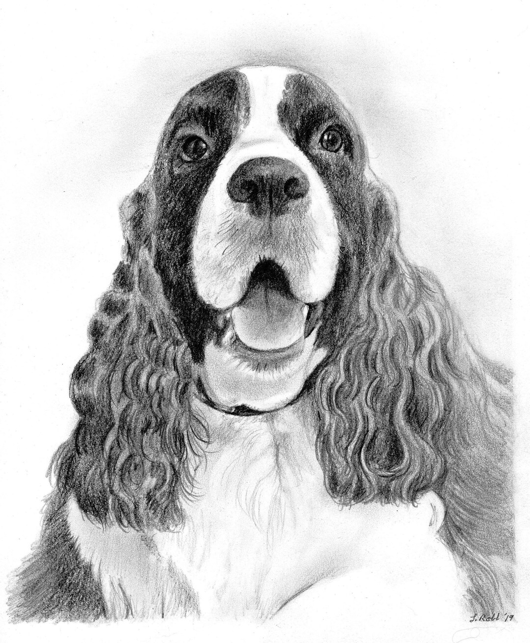 Custom Graphite Pencil Pet Portrait 8" X 10" - Etsy