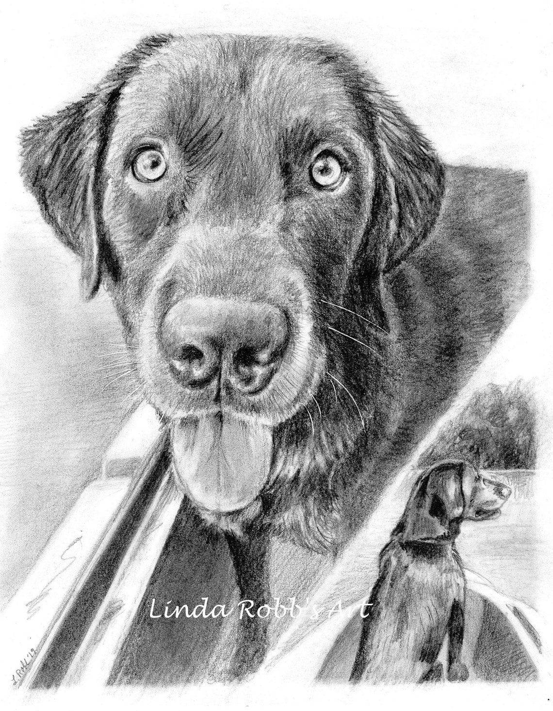 Custom Graphite Pencil Pet Portrait 8 X 10 - Etsy