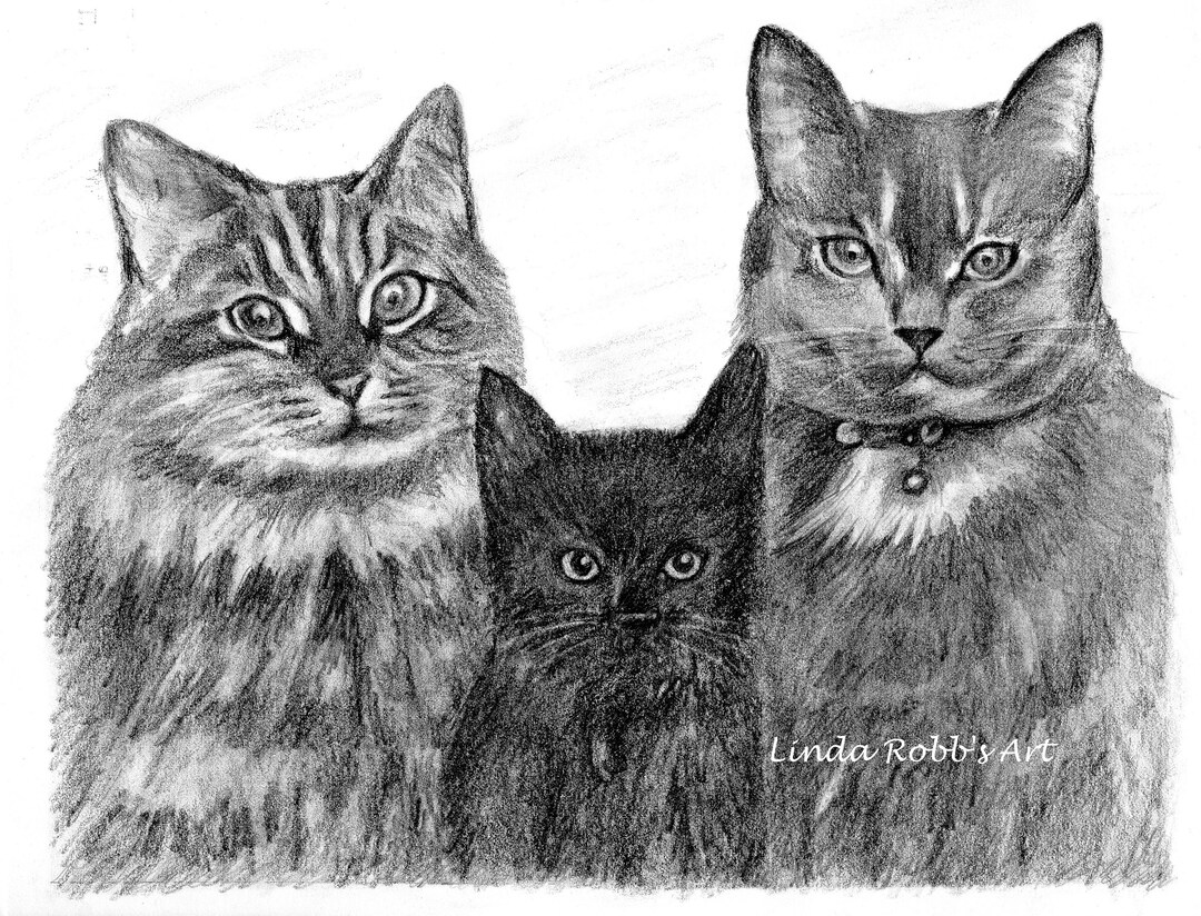 Cat Best Friend Fur Baby Drawing Detailed Animal Sketch Pet Portrait ...