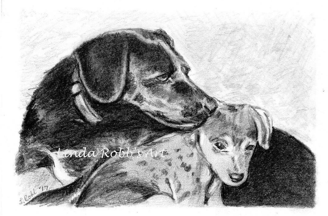 Personalized 4x6 Graphite Pet Drawing for Any Occasion - Etsy