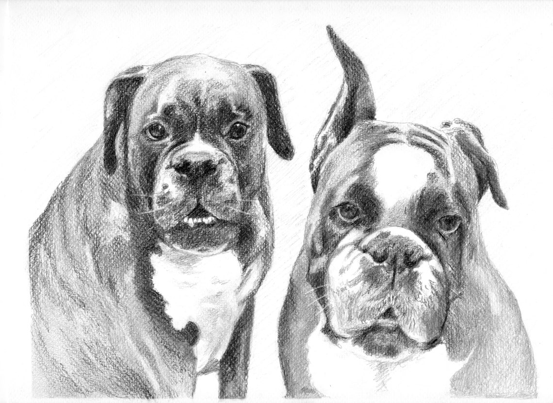 Custom Pet Portrait Graphite Pencil 11x14 - Etsy